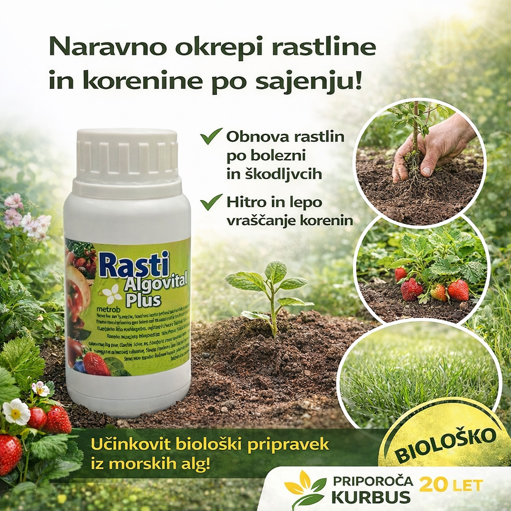 Rasti Algovital Plus – alge za zagon in hitro obnovo rasti – Drevesnica ...