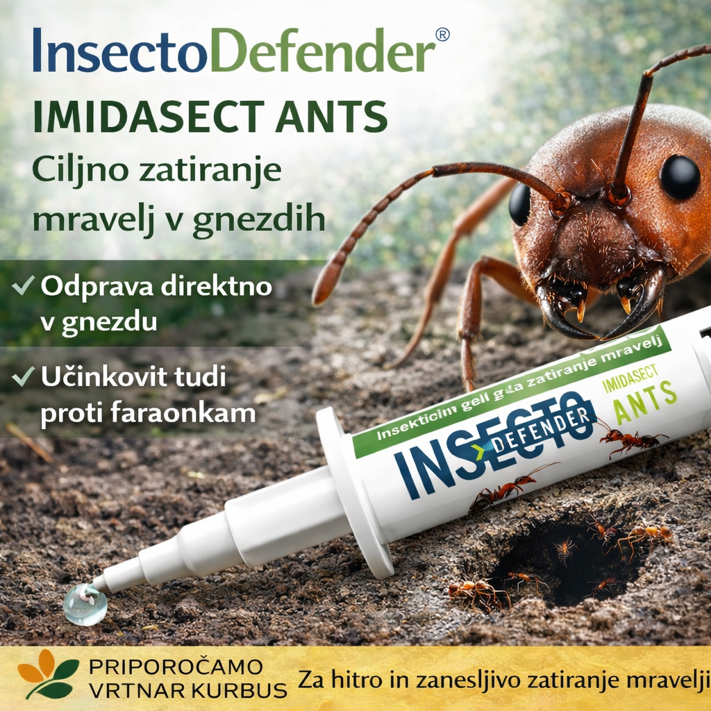 Imidasect ANTS 10g – za zatiranje mravelj v gnezdih in faraonk ...